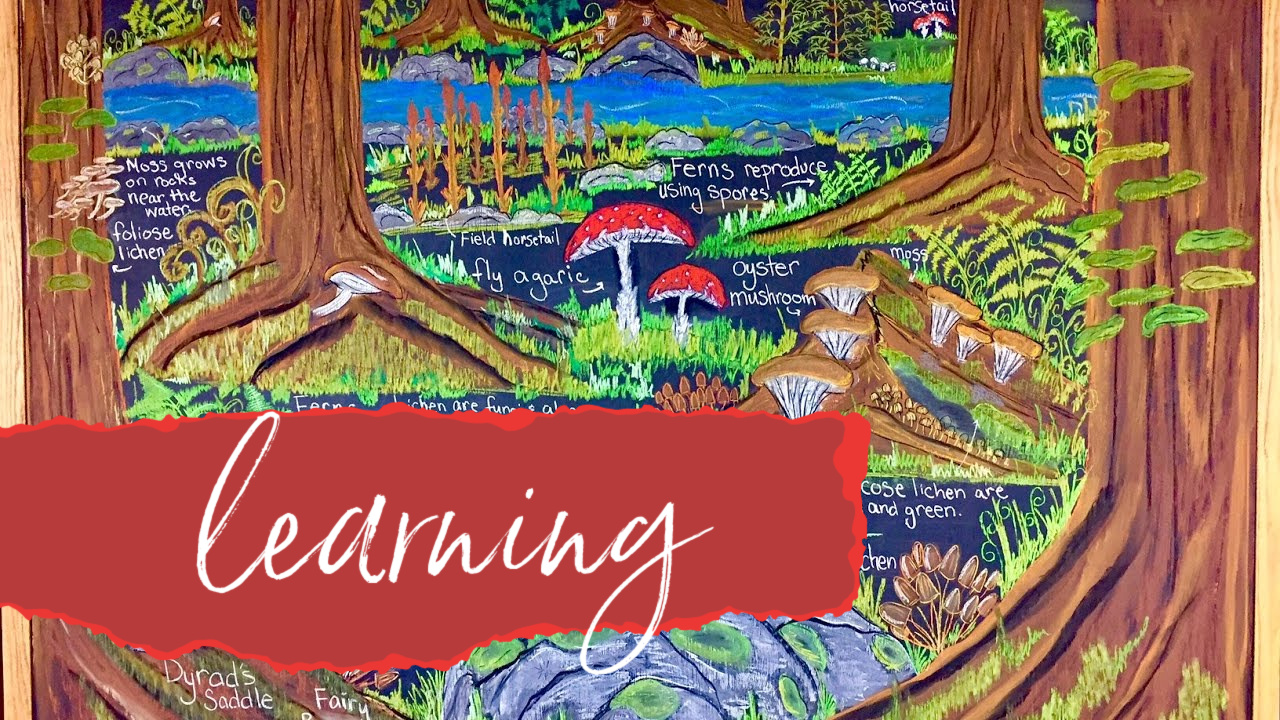 Essential Learning – embracing essentialism